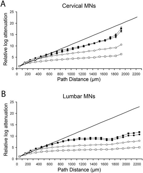 Comparison Of Morphoelectrotonic Transformations With Their Original Download Scientific