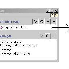 A UMLS concept and its semantic type both imported to Protégé 2000 Download Scientific Diagram