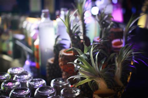 호치민 숨겨둔 나의 단골 술집 클럽 라운지 루프탑바