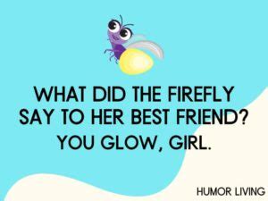 Funny Insect Jokes To Bug You With Laughter Humor Living