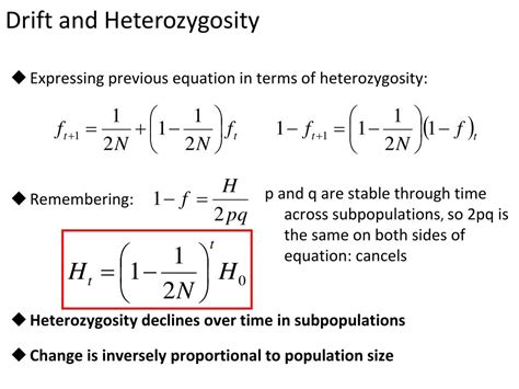 Ppt Lecture 12 Effective Population Size And Gene Flow Powerpoint Presentation Id 7075413