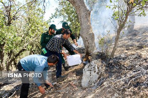 مشارکت حدود ۳۵۰۰ نفر در طرح مردمی همیار طبیعت گیلان ایسنا