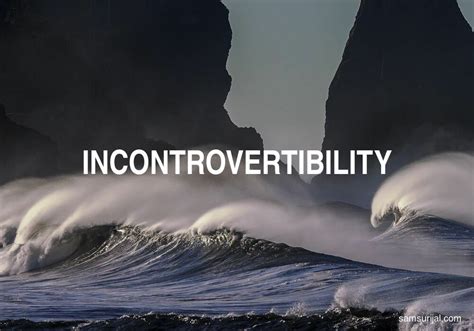 Arti Kata Incontrovertibility Kamus Bahasa Inggris Terjemahan