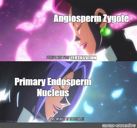 Сomics Meme Angiosperm Zygote Fertilization Primary Endosperm Nucleus