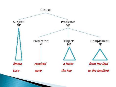 Clause Structure Complements And Adjuncts Clause Structure