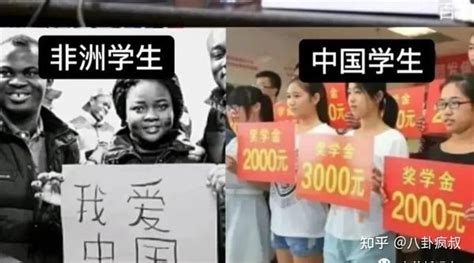 浙大毕业典礼，女生单膝下跪，向黑人求婚！ 知乎