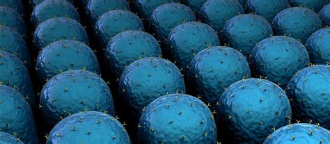 Multiplex Immunodetection Future Lab