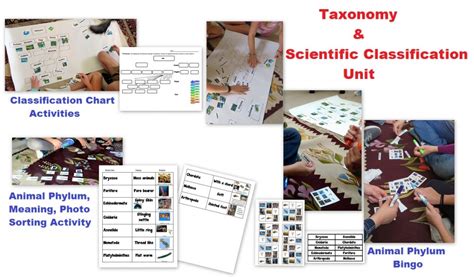 A Great Science Activity Working With Mealworms Homeschool Den