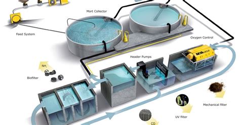 The Recirculation System Ntesco