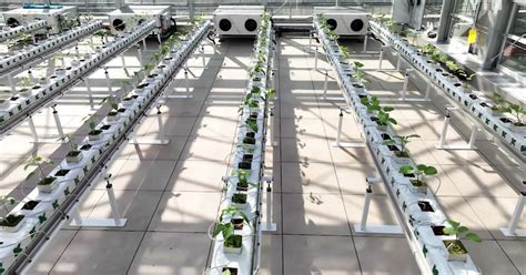 서울 도심 빌딩 옥상에 스마트 온실 등장