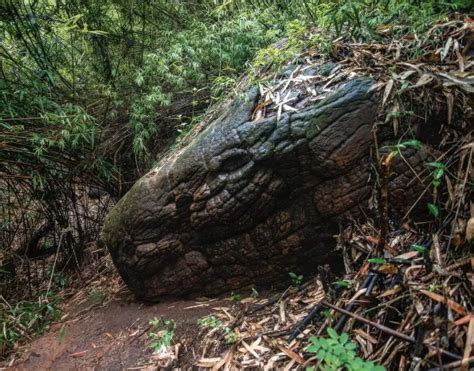 Resting Dragon Rock In Thailand The Ultimate Case Of Pareidolia