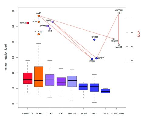 Tumor Mutation Load Is Lower In More Mature T All Subtypes Sample