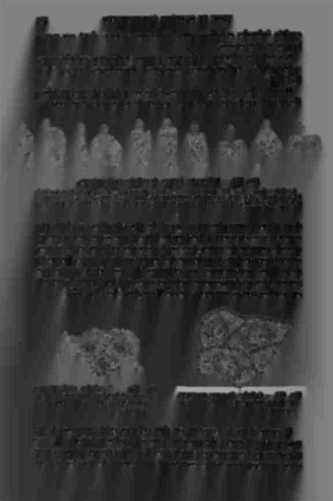 Vaso Vasorum Les Gardiens Méconnus De La Santé Vasculaire Eln