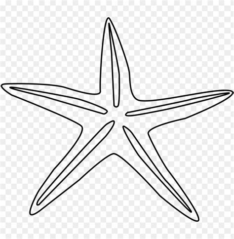 Echinoderm Coloring Pages