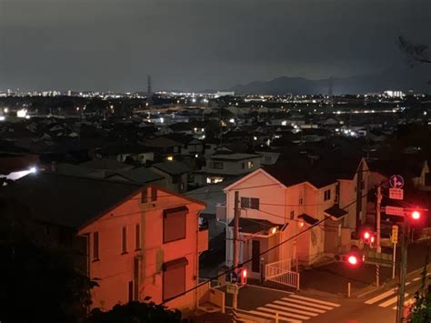 Code And Host A Discord Or Twitch Bot For Your Server By Avialibi Fiverr