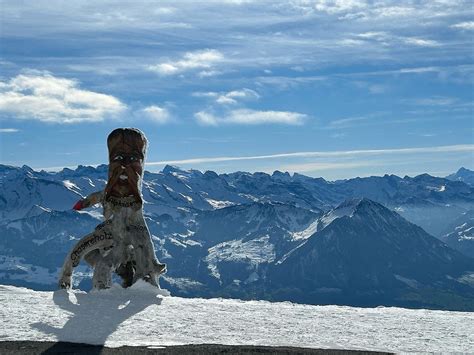 11화 2023년 스위스 여행경비