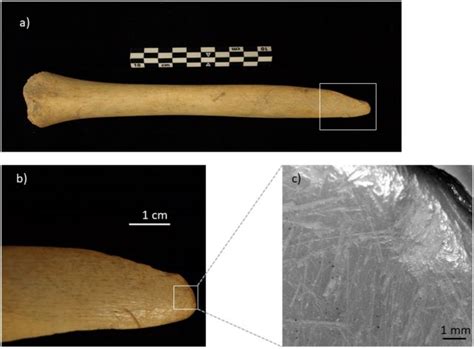 Neolithic Humans Used The Bones Of The Dead For An Unorthodox Purpose