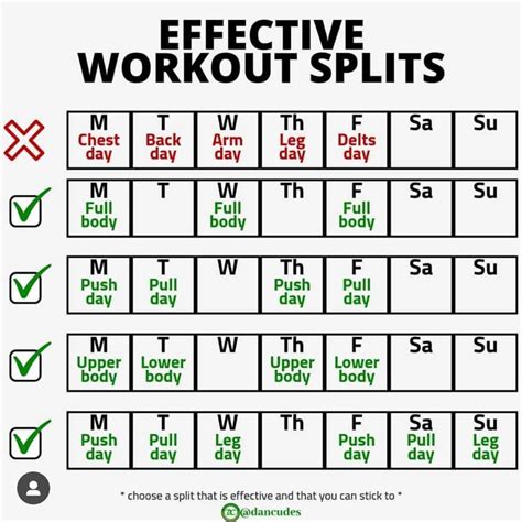 Pushpulllegs Split 3 6 Day Weight Training Workout Schedule And Plan