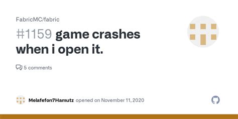 Game Crashes When I Open It Issue FabricMC Fabric GitHub