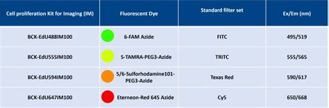 Edu Cell Proliferation Assay For Imaging