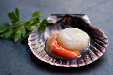 Can You Eat Scallops Raw One Tricky Question Answered