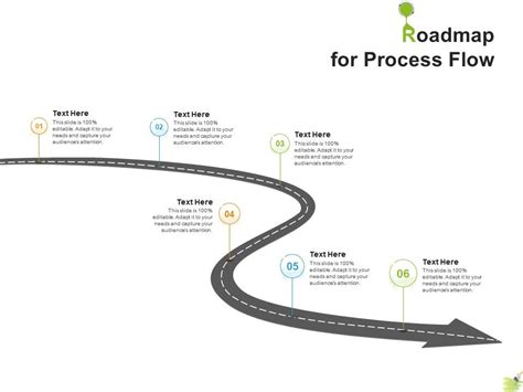 Roadmap For Process Flow A1246 Ppt Powerpoint Presentation Styles Designs Presentation