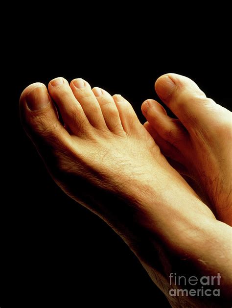 Top View Of A Mans Healthy Feet By Science Photo Library
