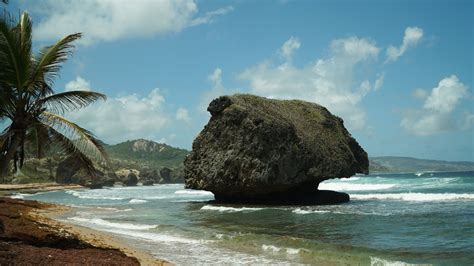 Land Path Of Migration Marianne Keating