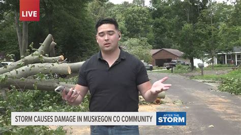 Whitehall Man Narrowly Escapes Tree Falling Into Home Wzzm13 Com