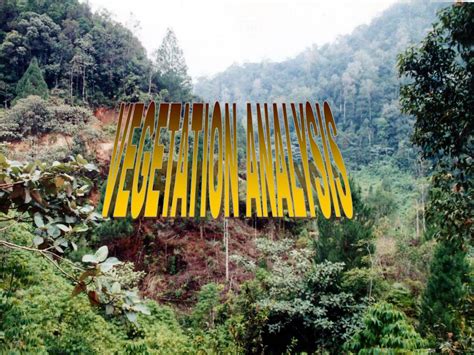 Ppt Vegetation Analysis Powerpoint Presentation Free Download Id