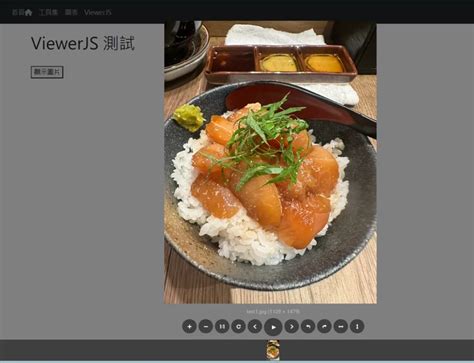 viewer js 如何自訂義圖示及功能 zyrastory 當程式碰上美食