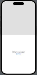 How To Hide Sheet Drag Indicator In Ios Swiftui Coding With Rashid
