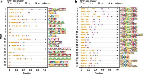 sequence motifs underlying chip seq peaks a de novo motif analysis was download scientific