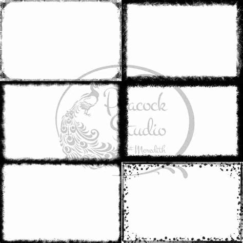 Peacock Studio Textures Meredith Images