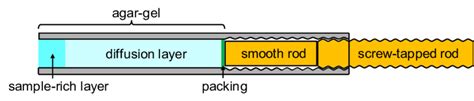 Schematic Overview Of The Agar Gel Diffusion Experimental Apparatus Download Scientific Diagram