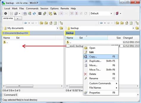 Backup Della Configurazione Di Esx I 4 X 5 X Tramite Vma