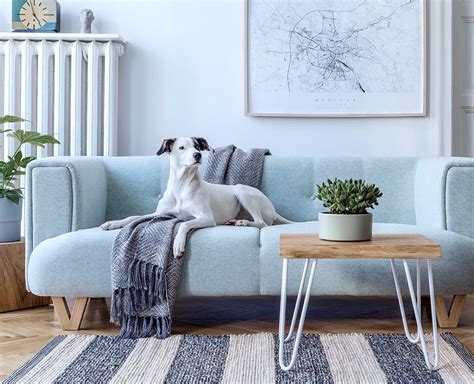 Intruder Alarms Adb Alarms