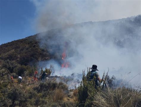 Incendios Forestales Afectaron Distritos De Huánuco Y Áncash La Razón