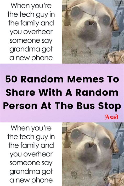50 Random Memes To Share With A Random Person At The Bus Stop Memes