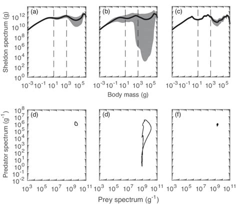 Illustration Of The Time Dependent Solution In The Community Model Two Download Scientific