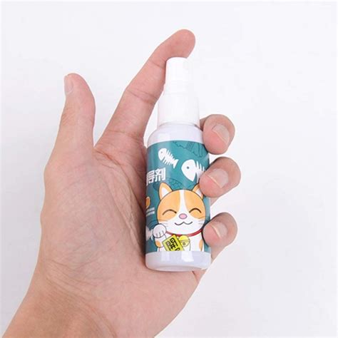 Catnip 100 Orgánico Para Gatos 50 Ml Catnip 100 Orgánico Para Gatos 50 Ml