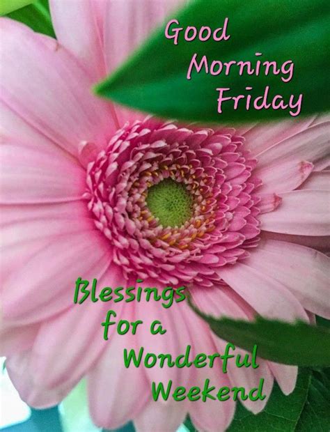 Pin By Gail Alexander On Good Day Morning Good Morning Flowers Quotes