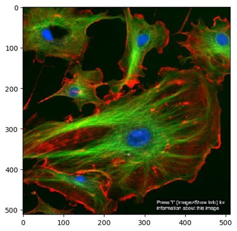Microscopy Image Analysis With Python And Napari All In One View