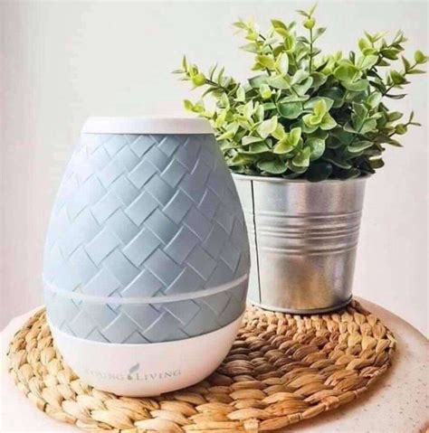 Sweet Aroma Diffuser Young Living Lazada Ph