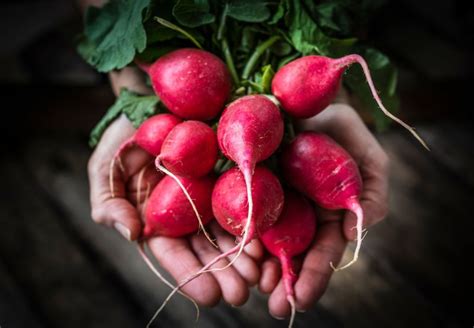 Nyc Chefs Guide To Radishes Varieties And Flavor Tips