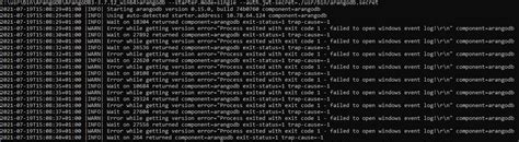 ArangoDB Windows Installation Failed To Detect Database Features Issue Arangodb