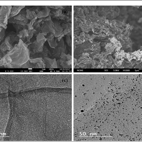 E A SEM Images Of GO B SEM Image Of GO Pd Fe The Distribution Of Download Scientific