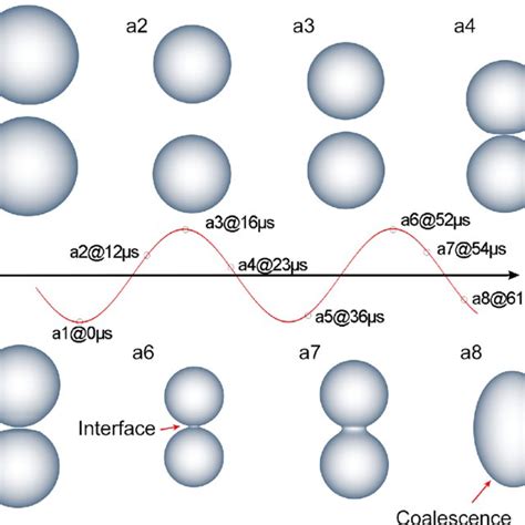 Two Bubbles Coalescence Dynamics In Two Ultrasonic Periods At Simulated Download Scientific