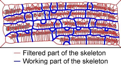 Image Skeleton After Preprocessing Download Scientific Diagram