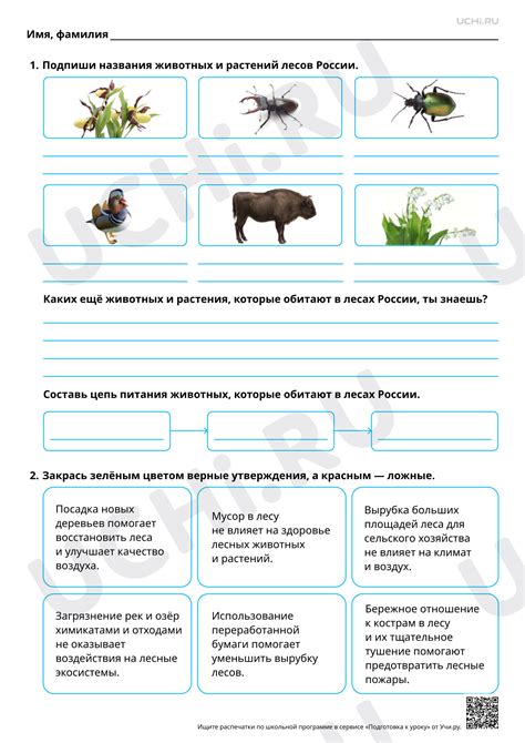 📒 Рабочий лист №3 по теме “Характеристика природных зон России